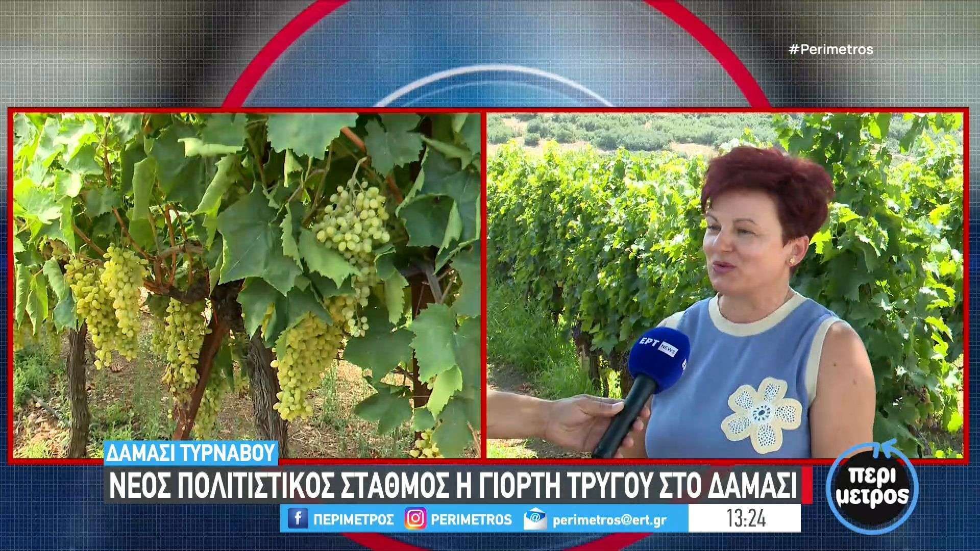 Η καρδιά του αμπελιού χτυπά στην 1η γιορτή του τρύγου