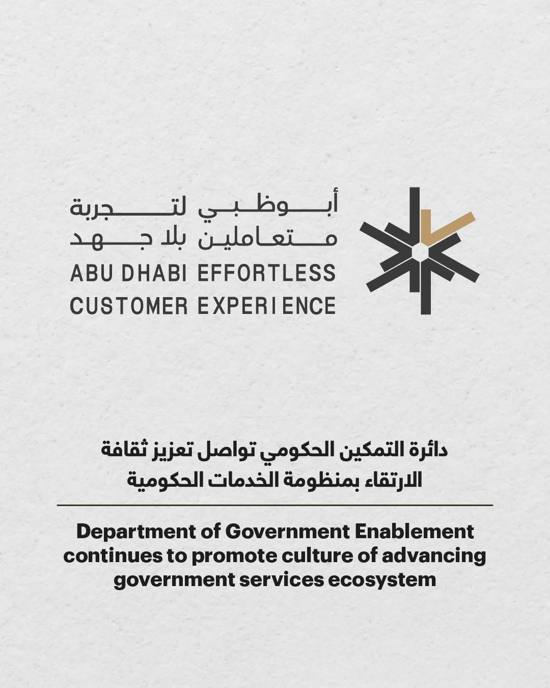 Department of Government Enablement launches 2nd Abu Dhabi Effortless ...