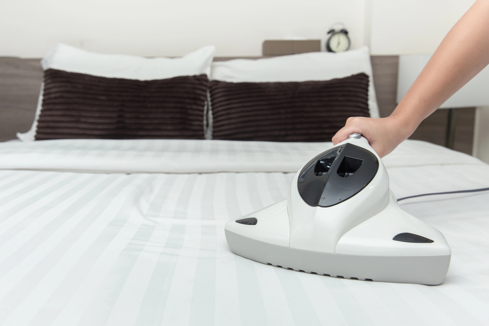 15 Tips to Reduce Dust Mites in Your Home