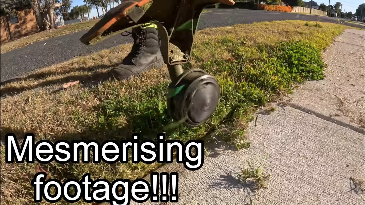 Government Called Me to Fix This Lawn! Garden Clean-Up in Australia