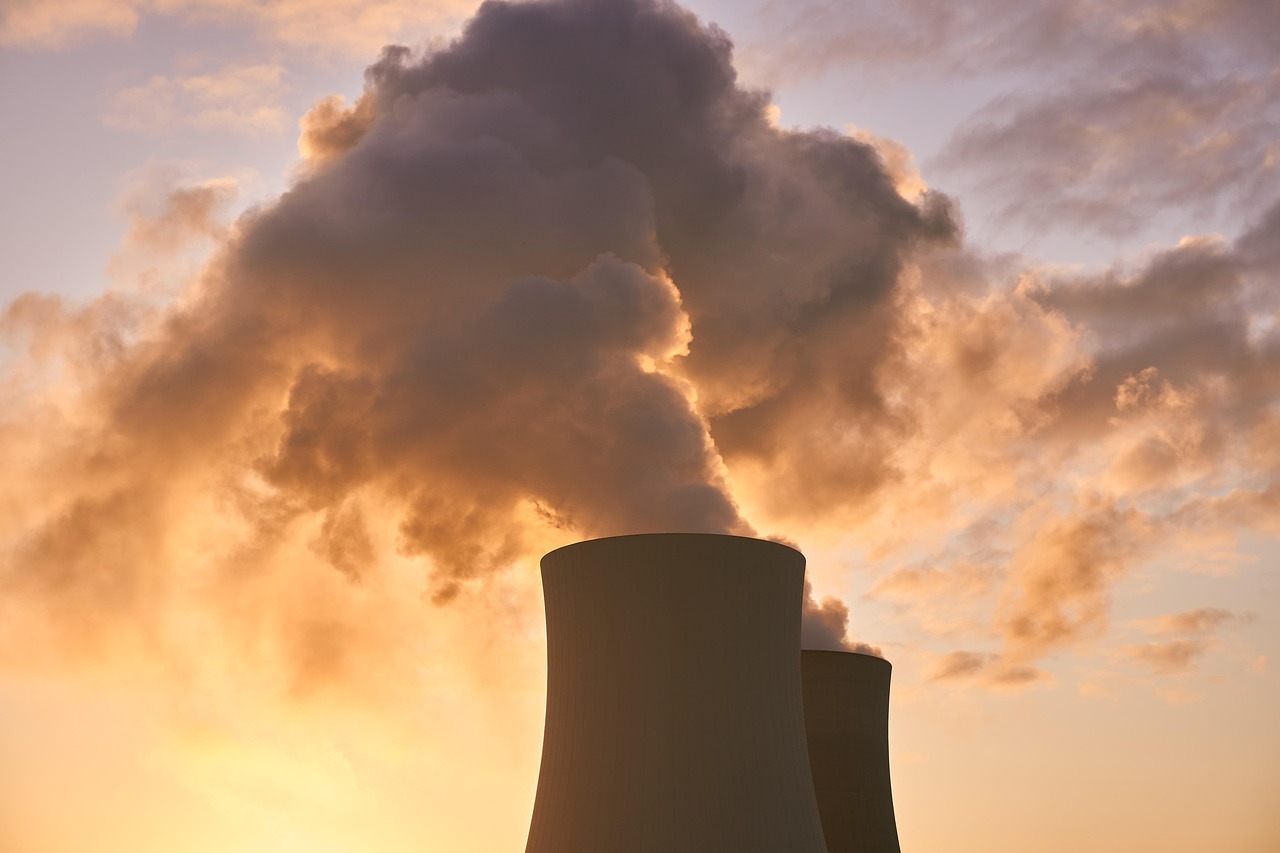 Radioactive Wasp Nest Found at Nuclear Waste Site in South Carolina