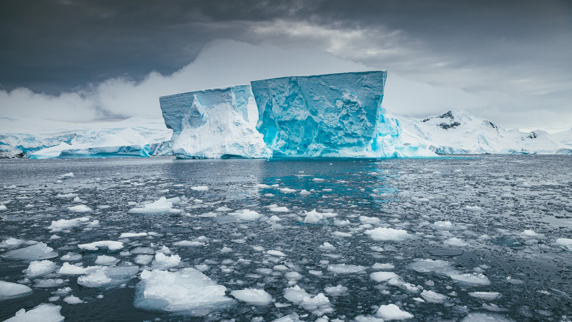 Antarctica’s Rapid Ice Melt May Trigger Global Catastrophe