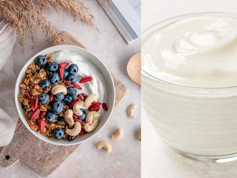 Greek Yogurt vs Regular Yogurt: What is the difference
