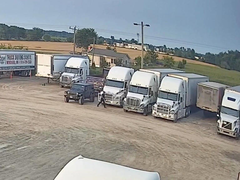 Meat heist? Windsor police investigate $222K beef theft