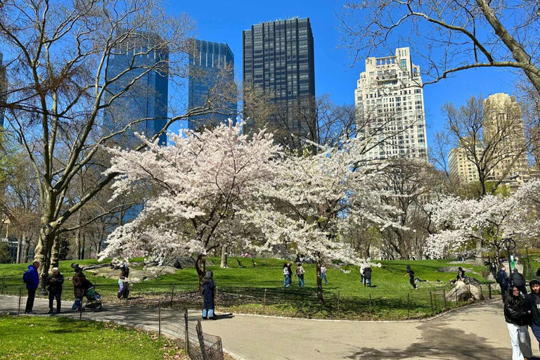 An Off-the-Beaten-Track Guide to New York City