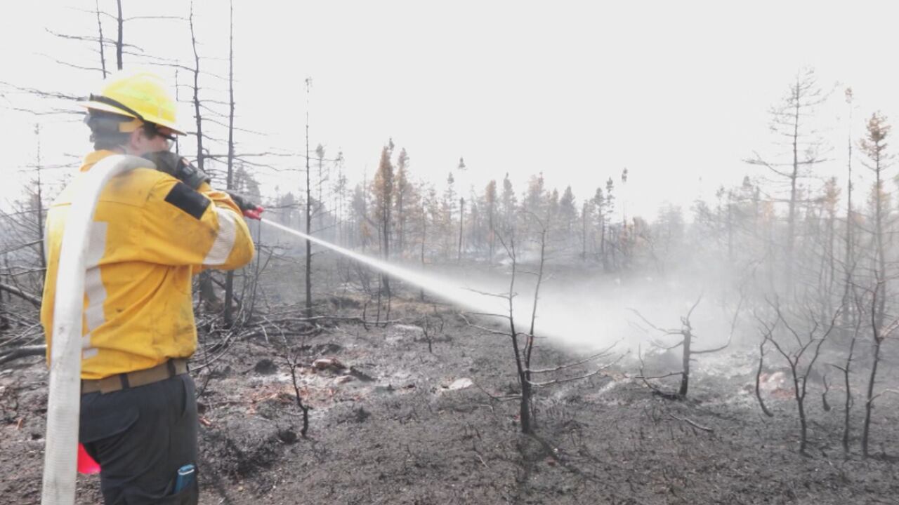 Kingston now the only out-of-control fire in Newfoundland, as 8 ...