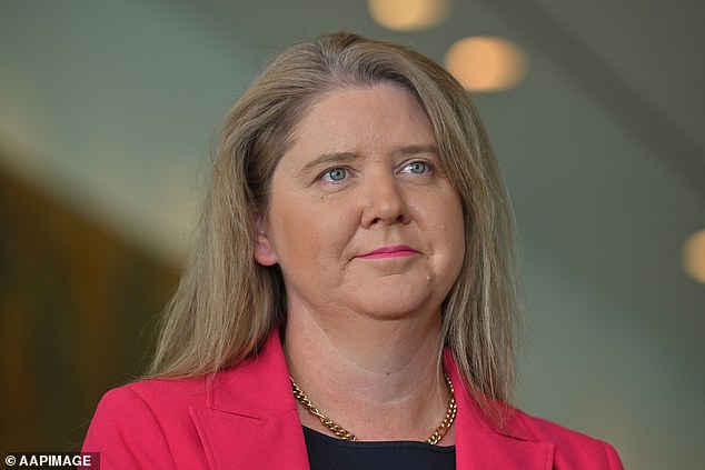 Is this the solution to our housing crisis? Aussie family creates a ...