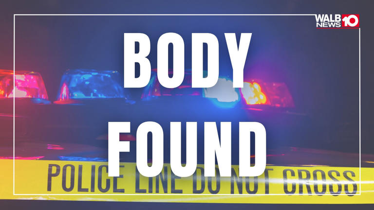 Body found inside car behind Albany store, officials investigating