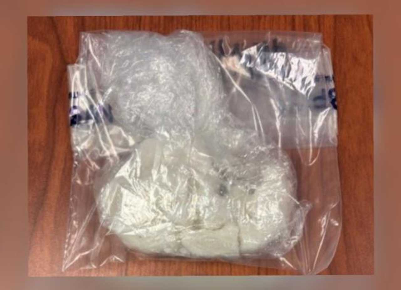 K9 Sniffs Out Over 65 Grams Of Crack Cocaine In Taconic Traffic Stop In ...