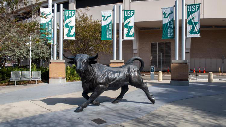 USF welcoming over 7,500 new students ahead of 2025 school year
