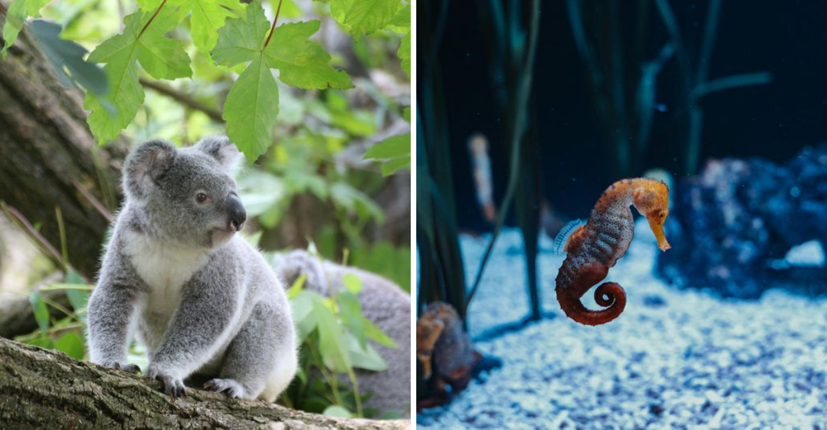 14 Peaceful And Harmless Animals Found Around The World