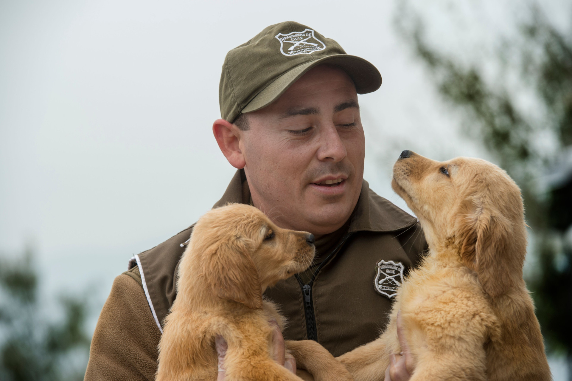 What your dog's breed says about your personality