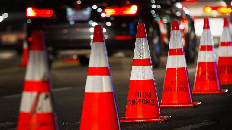 KY3 Digital Extra: Springfield Police Department, local agencies arrest ...