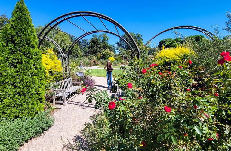 Garden Lover? Don't Miss JC Raulston Arboretum (5,000+ plants)