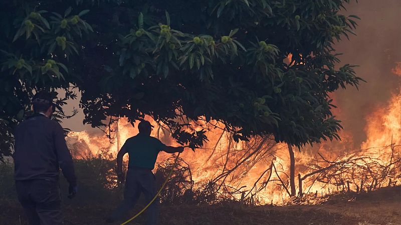 Wildfires devastate nearly 10,000 km2 in 2025 with Spain and Portugal ...