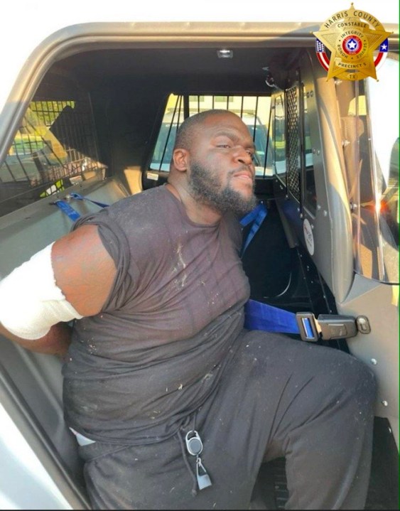 Fugitive apprehended after being ‘mistakenly released’ from jail in July