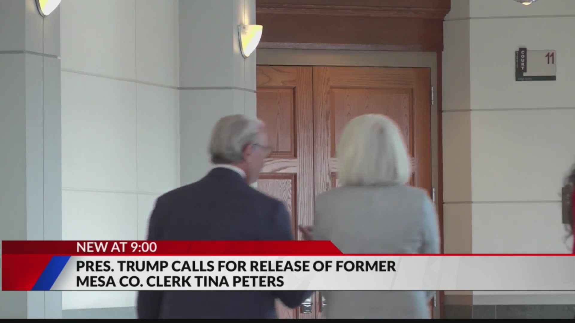 Trump to take 'harsh measures' if Tina Peters isn't released from jail ...
