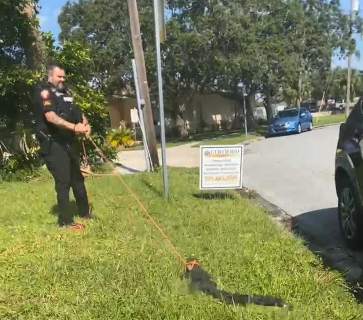 Back to the water, Tripod: Melbourne police officer wrangles (and names ...