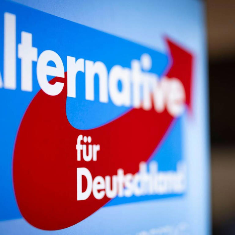 AfD-Bundesverband reicht Verfassungsbeschwerde im Verdachtsfall ...