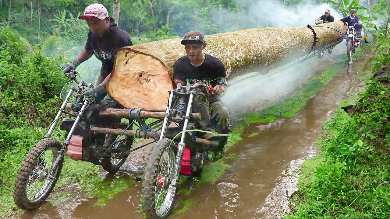 Innovative methods for transporting massive logs from remote forests
