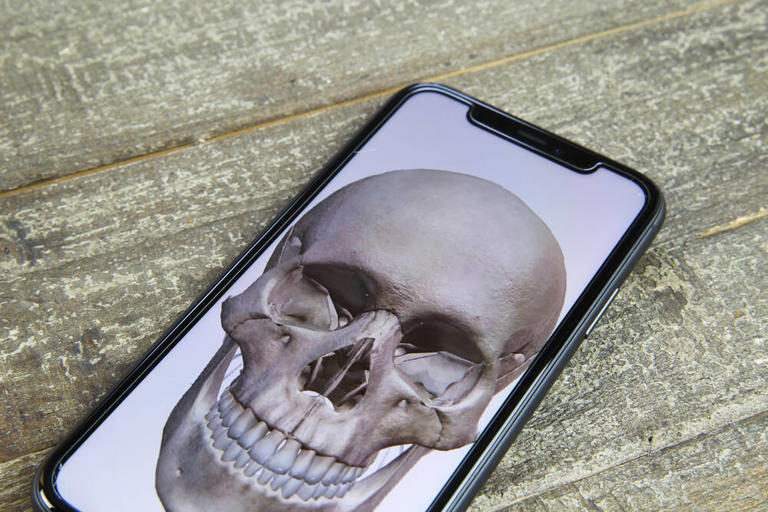 Apple rushes out fix for active zero-day in iOS and macOS