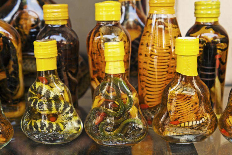 Venomous ‘snake liquor' sold at market is first record of species in ...