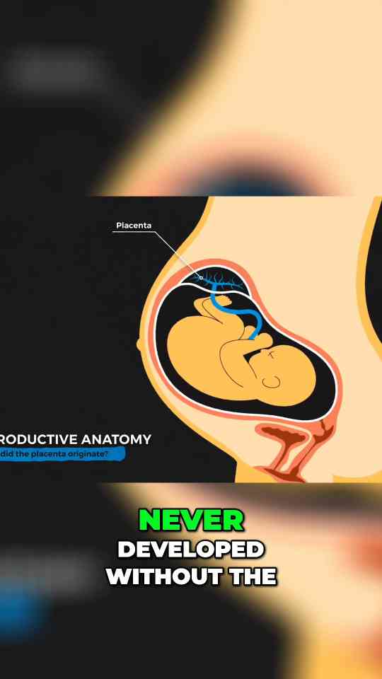 Amazing Placenta: How Viral Proteins Shaped Pregnancy