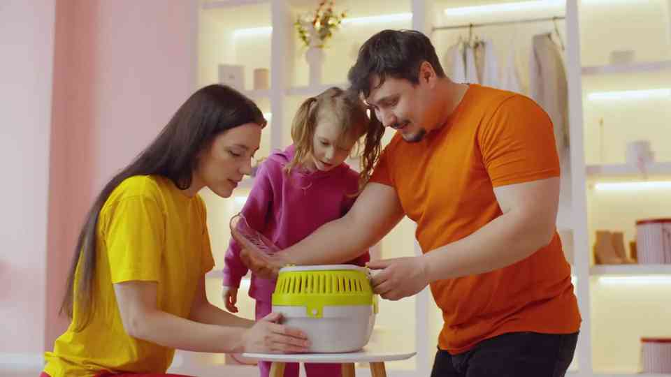 Dive into Pet Care: 7 Reasons Fish Are the Best Starter Pets for Kids