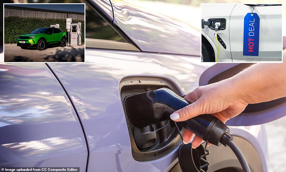 Every EV model that qualifies for the Electric Car Grant