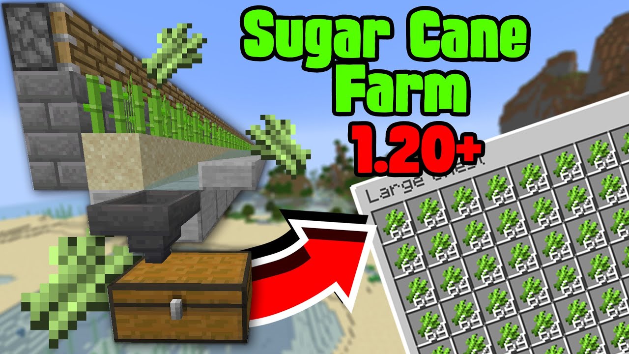 Easy Automatic Sugar Cane Farm – Minecraft  (java & Bedrock)