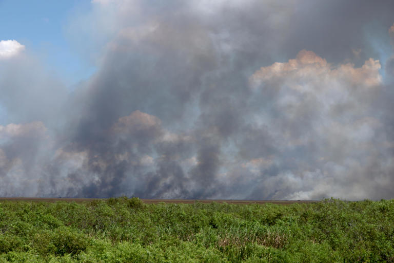 Fire in Everglades explodes in size; smoke impacts South Florida