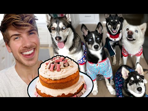 Baking a cake for the enjoyment of rescued puppies