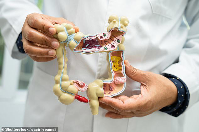 Scientists discover remarkable diet that's said to boost the gut and ...