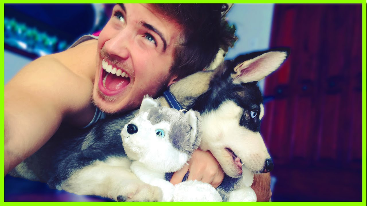 Household joyfully welcomes another energetic puppy