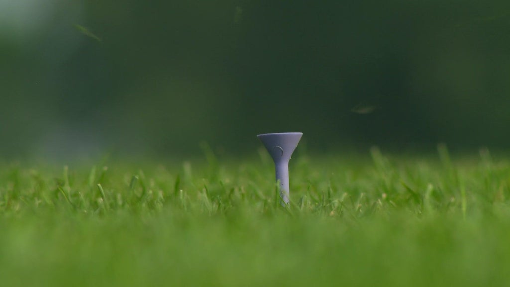 Vandals damage golf course while driving stolen carts in Evanston ...