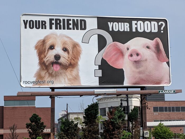 My Collection Of Funny Signs I’ve Seen Over The Past 25 Years
