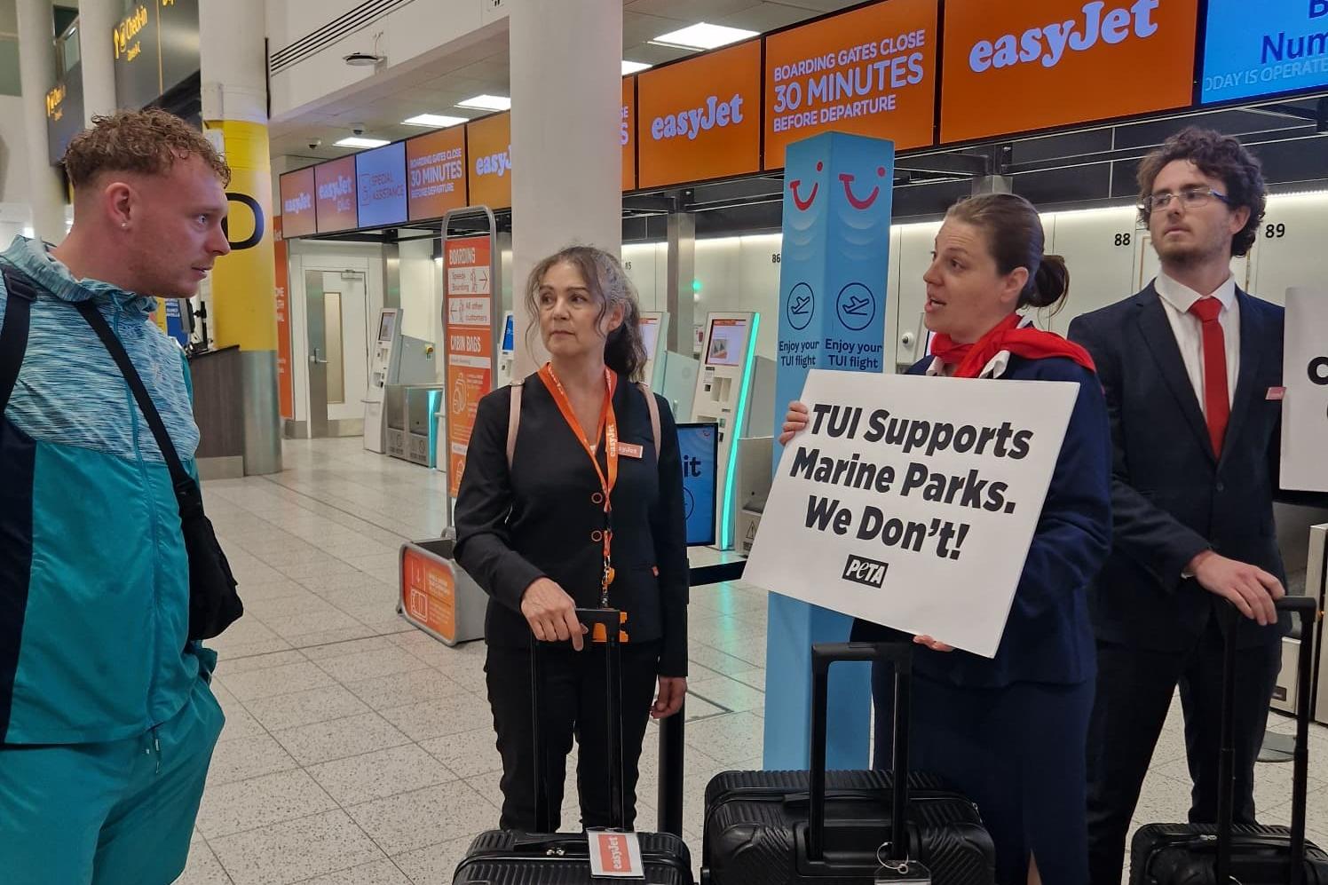 London Gatwick ‘open and operating normally’ after PETA protestors ...