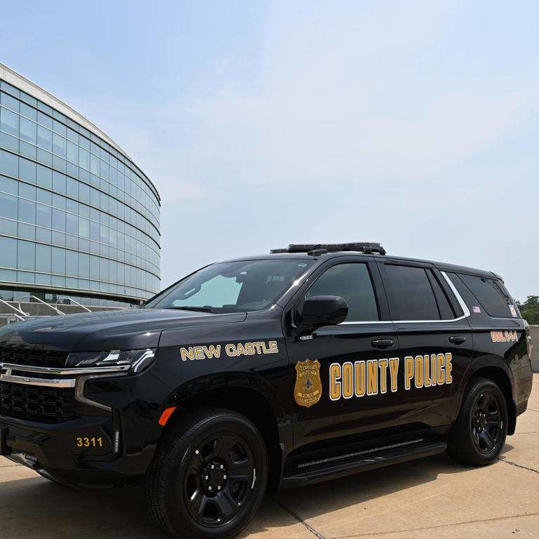 NCCO police launch first-of-its-kind human trafficking hotline in DE