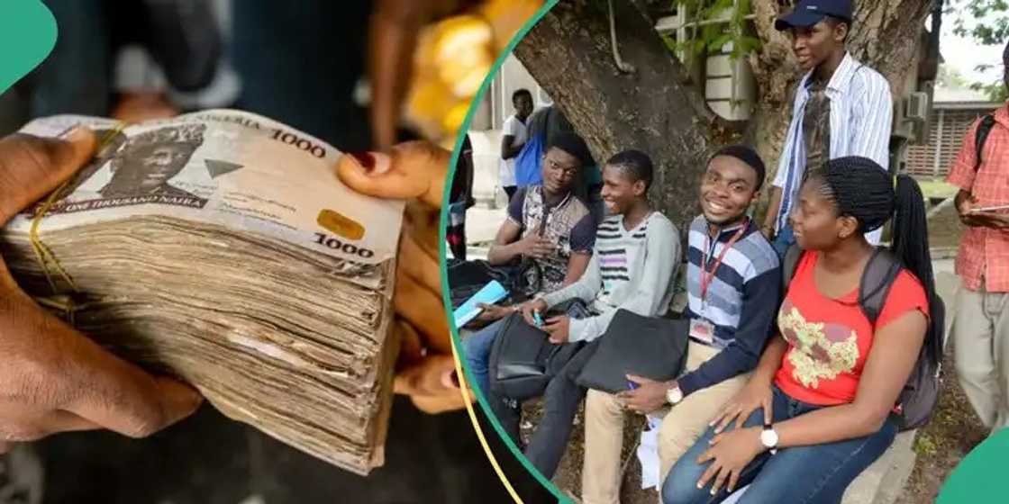 Fresh update as NELFUND extends 2025/2026 student loan application ...