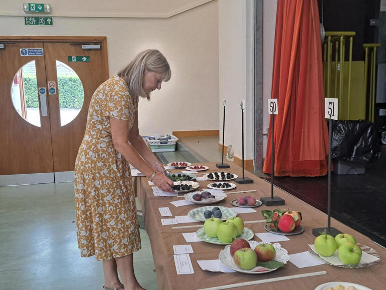 Horsham Horticultural Society Summer Show success