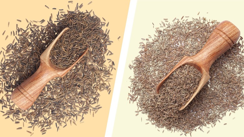 Is There A Big Difference Between Cumin And Caraway?