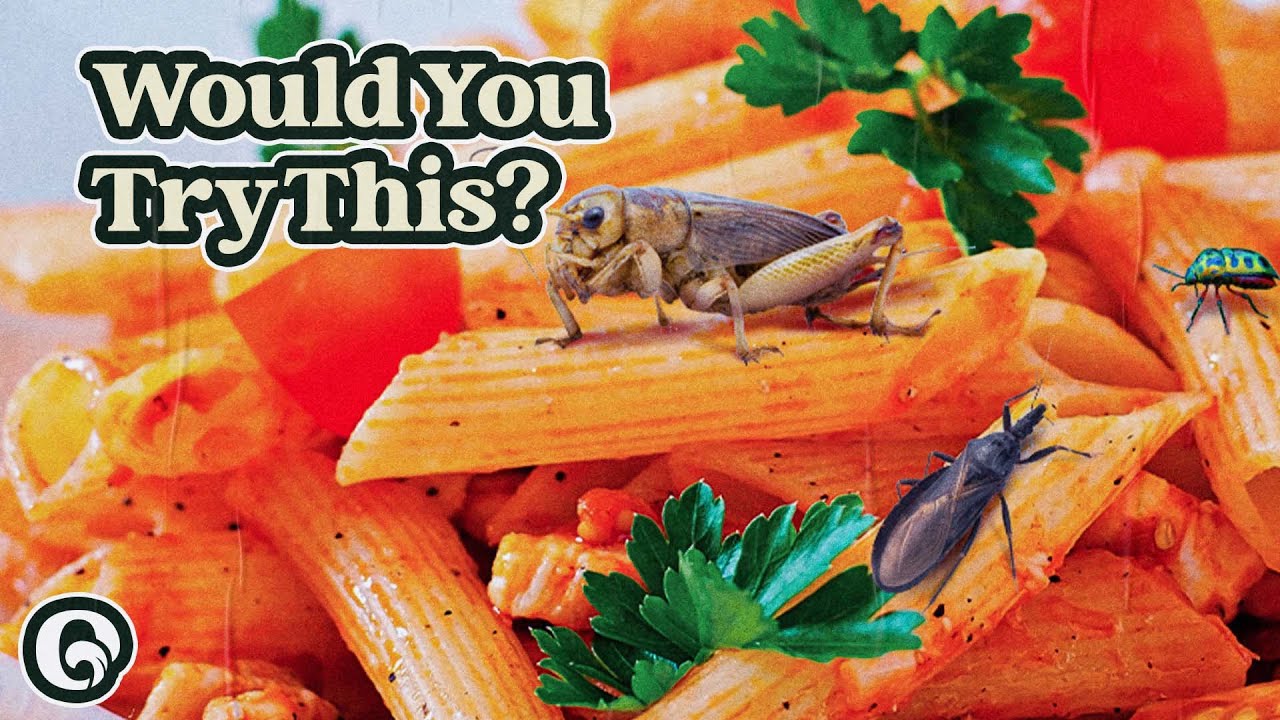 From Chocolate to Spices: Hidden Insects in Your Pantry