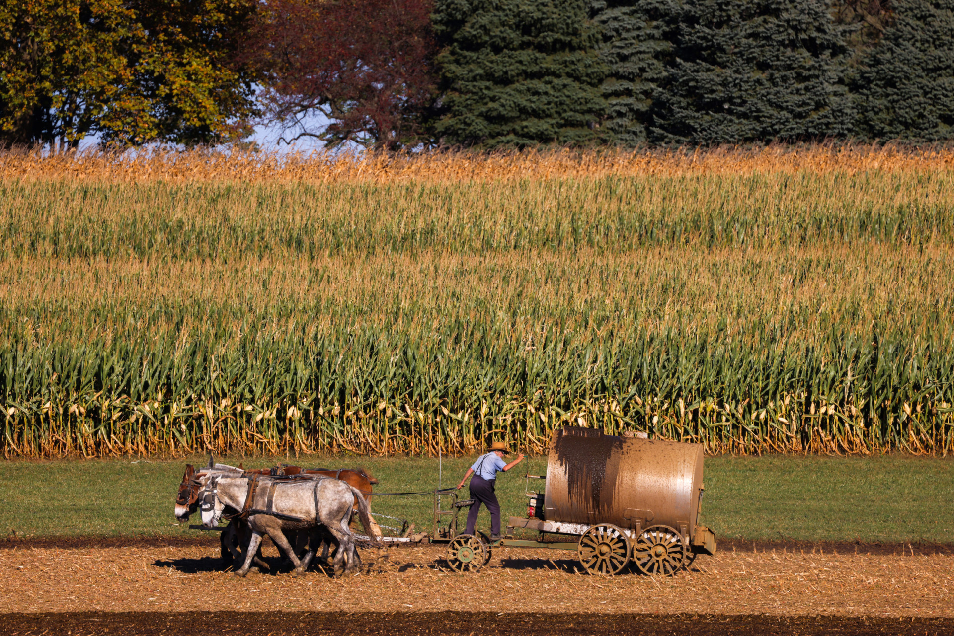 Which US states have the most Amish people?