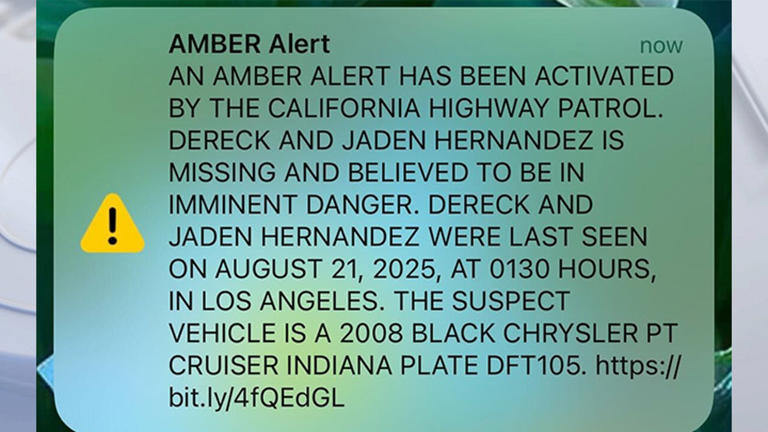 Amber Alert issued after California brothers reported missing from ...