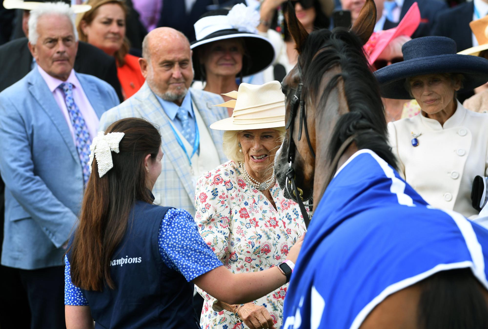 York Races Ebor Festival: Best pictures of Yorkshire Oaks and Ladies ...