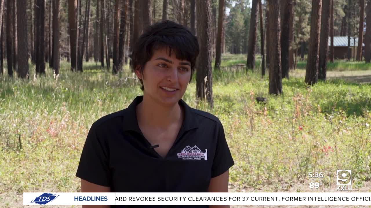 Wildfire grows to 190 acres near Flesher Pass