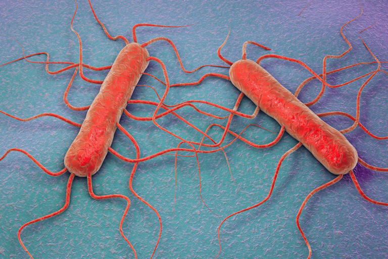 Qué es la listeria, la peligrosa bacteria detectada en dos productos en ...