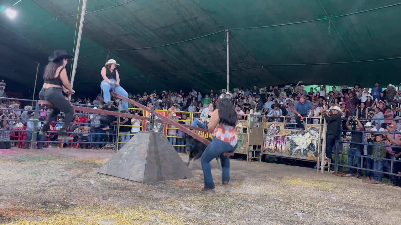 Four daring women ride Teeter-Totter in bull showdown at Mexico rodeo ...