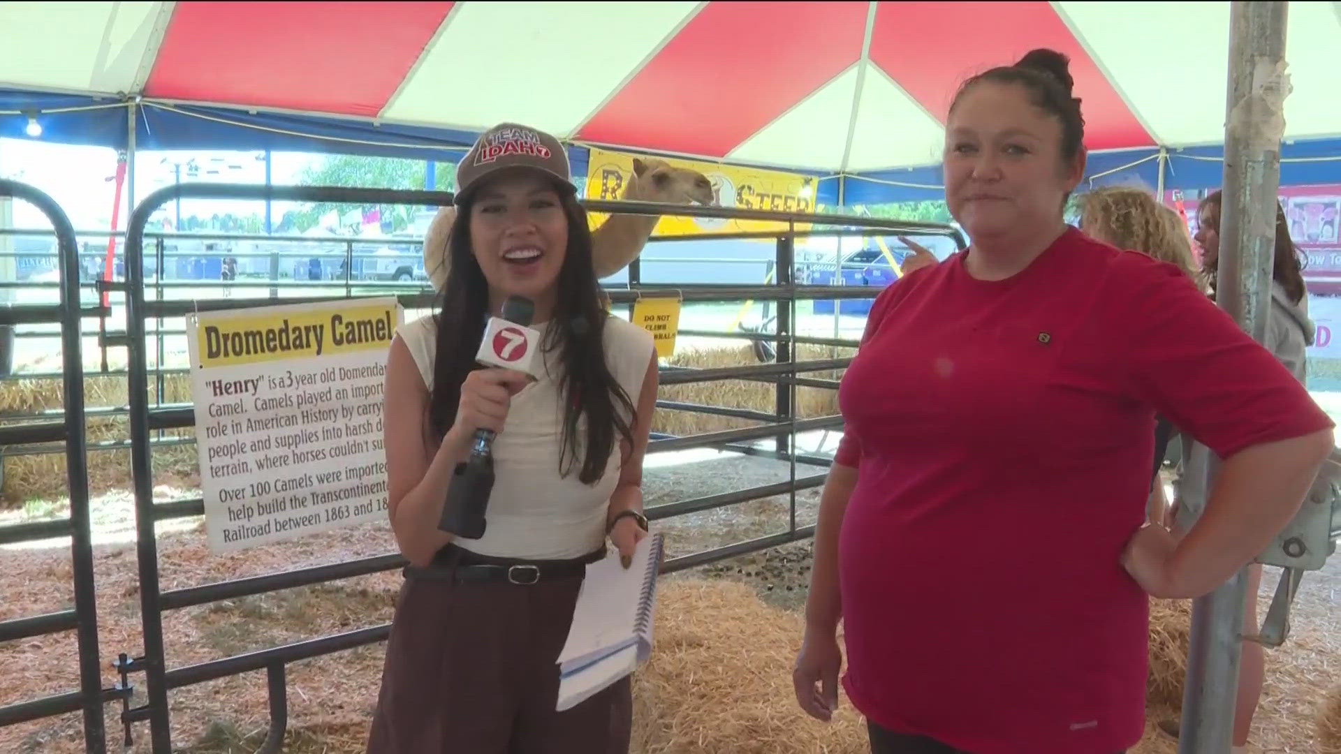 Cowtown brings animal education to the Western Idaho Fair