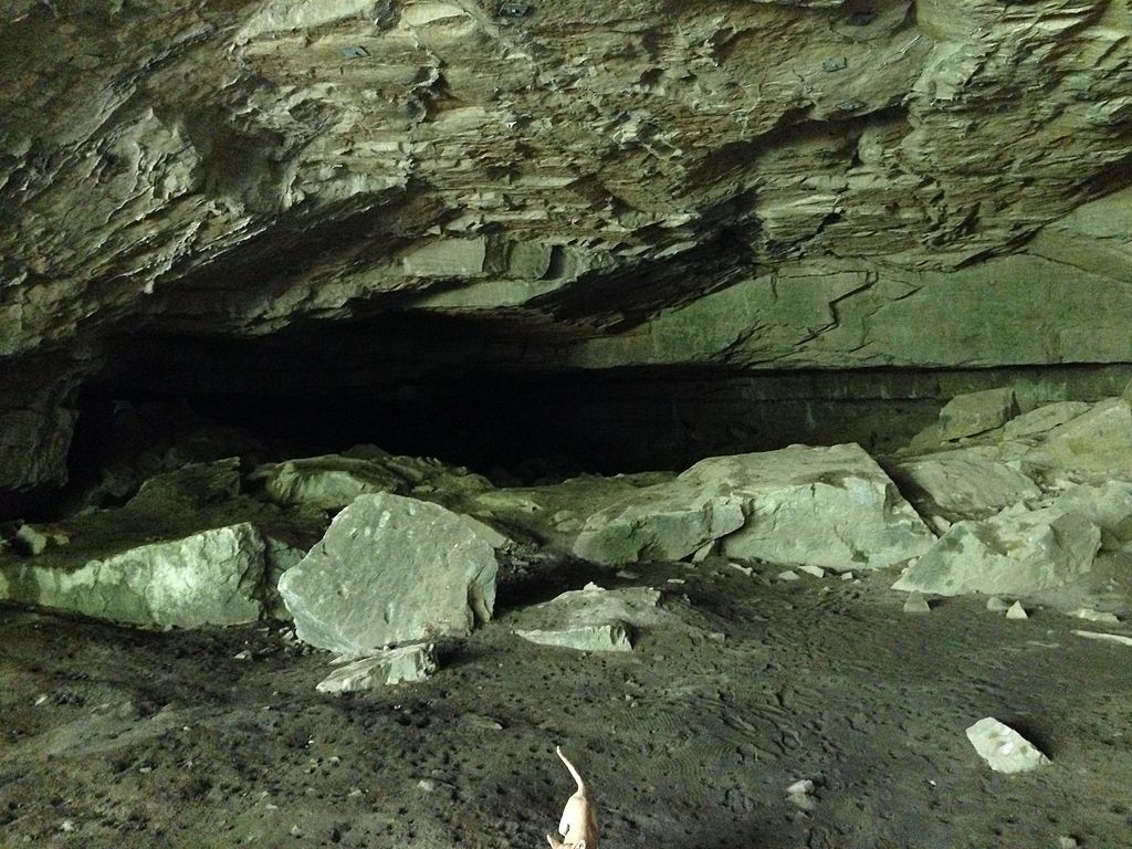 Alabama’s ancient cave that housed families all the way from the Ice Age